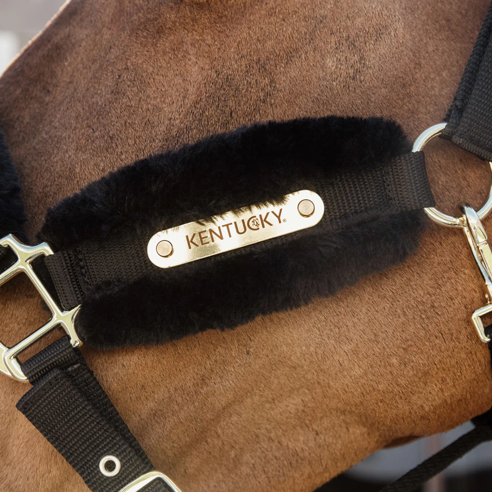 Kentucky Soft Nylon Sheepskin Headcollar - Black