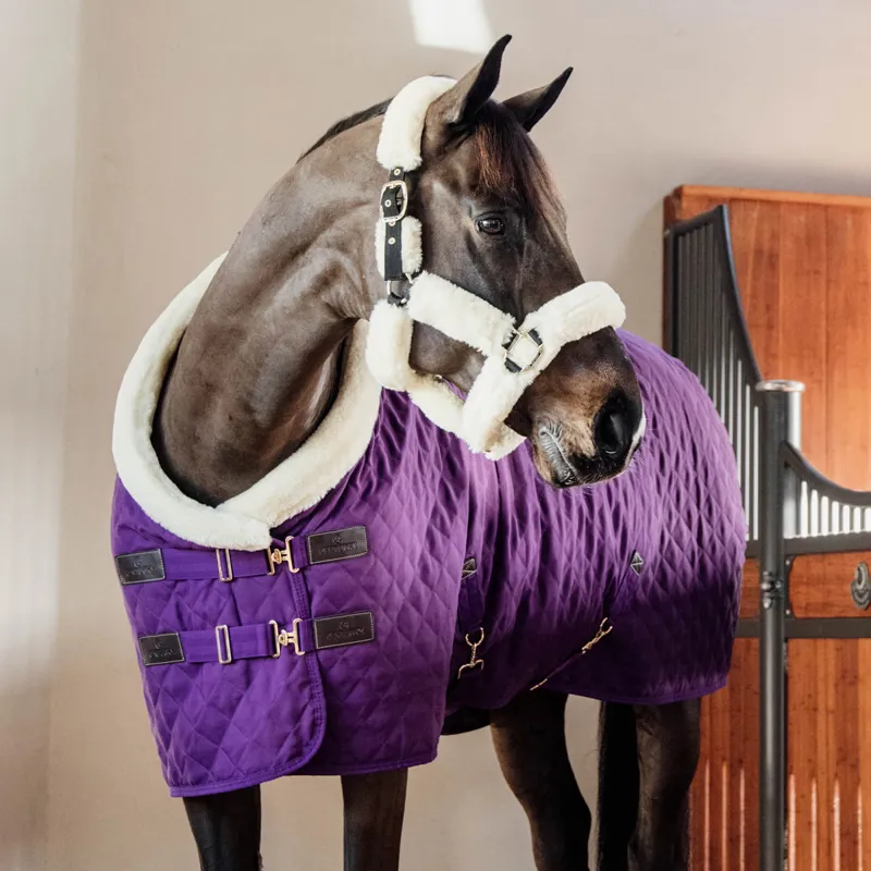 Kentucky 160g Show Rug - Royal Purple
