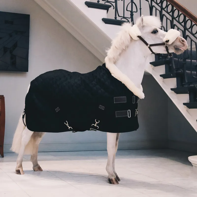 Kentucky 160g Tiny Show Rug - Black