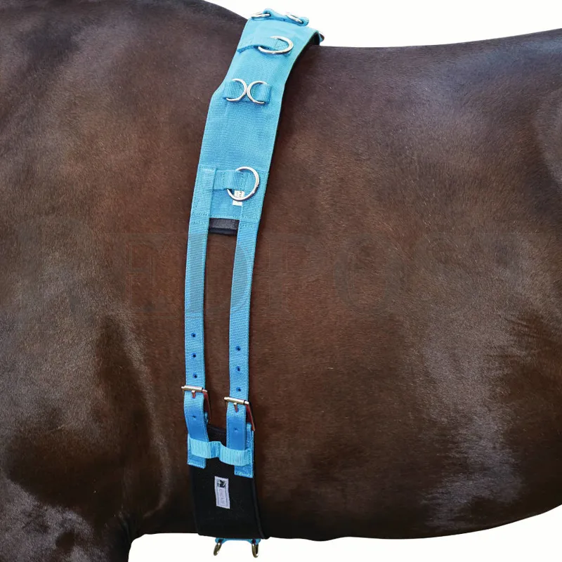 Kincade Brights Deluxe Equigrip Lunge Roller - Aqua