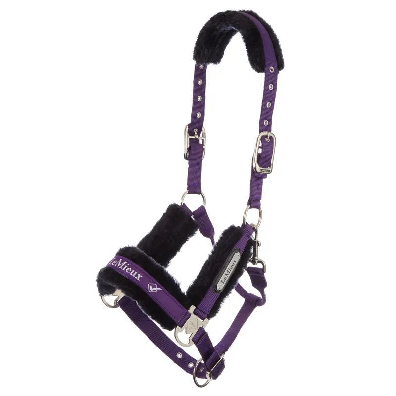 LeMieux Loire Headcollar - Blackcurrant