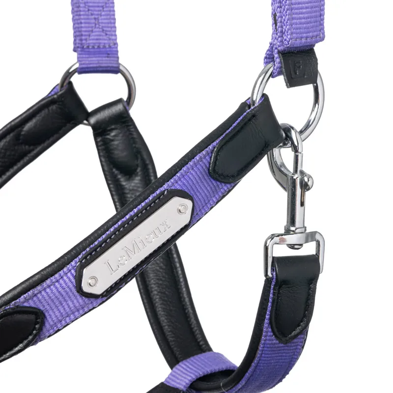 LeMieux Capella Leather Headcollar - Bluebell