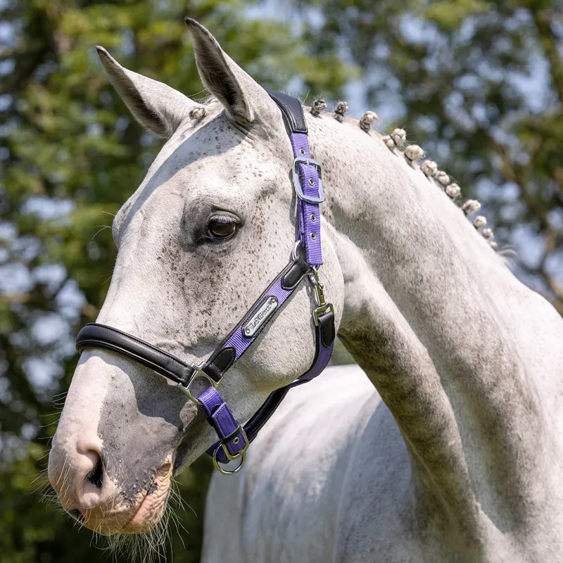 LeMieux Capella Leather Headcollar - Bluebell