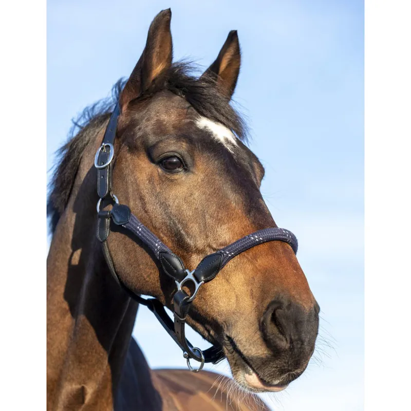 LeMieux Lasso Headcollar - Navy