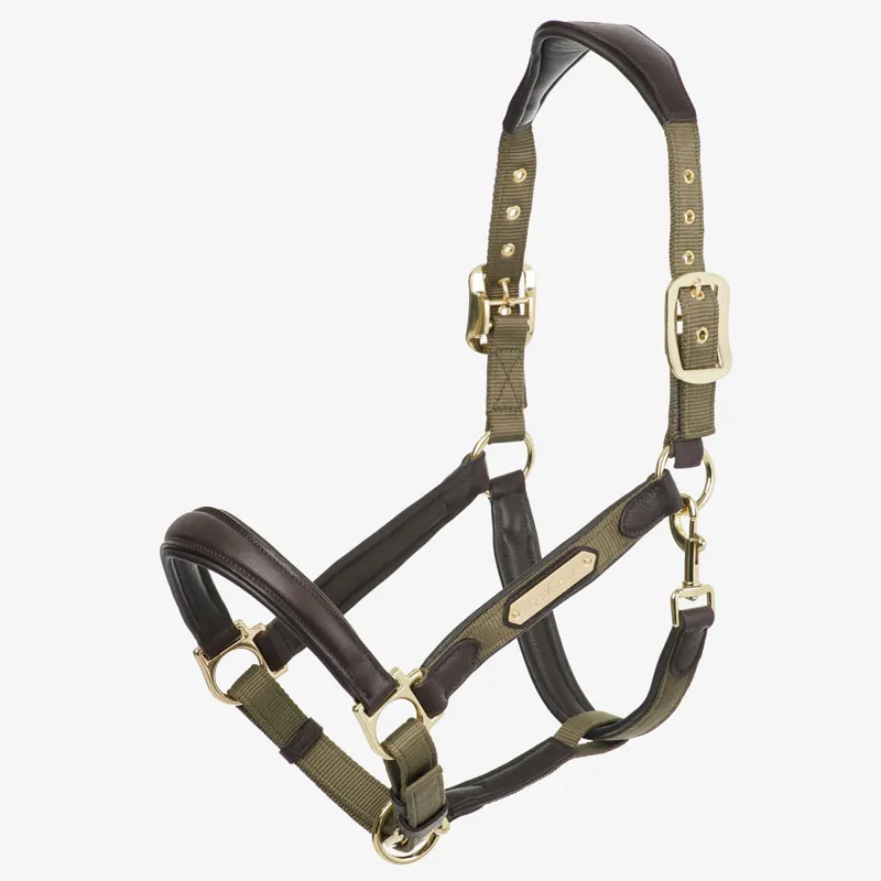 LeMieux Capella Leather Headcollar - Forest