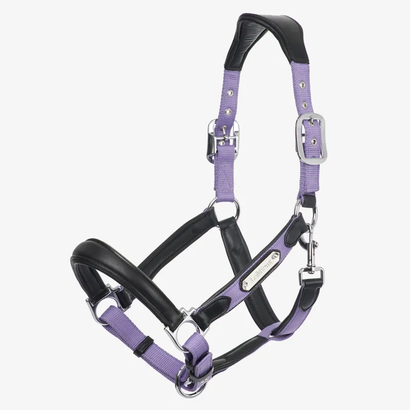 LeMieux Capella Leather Headcollar - Iris