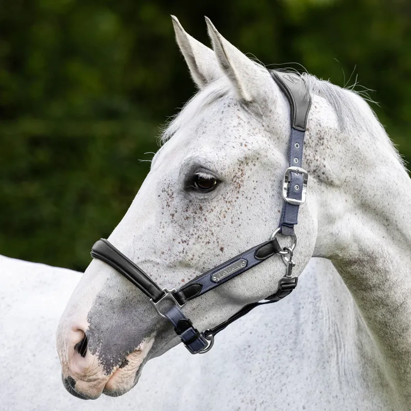 LeMieux Capella Leather Headcollar - Jay Blue