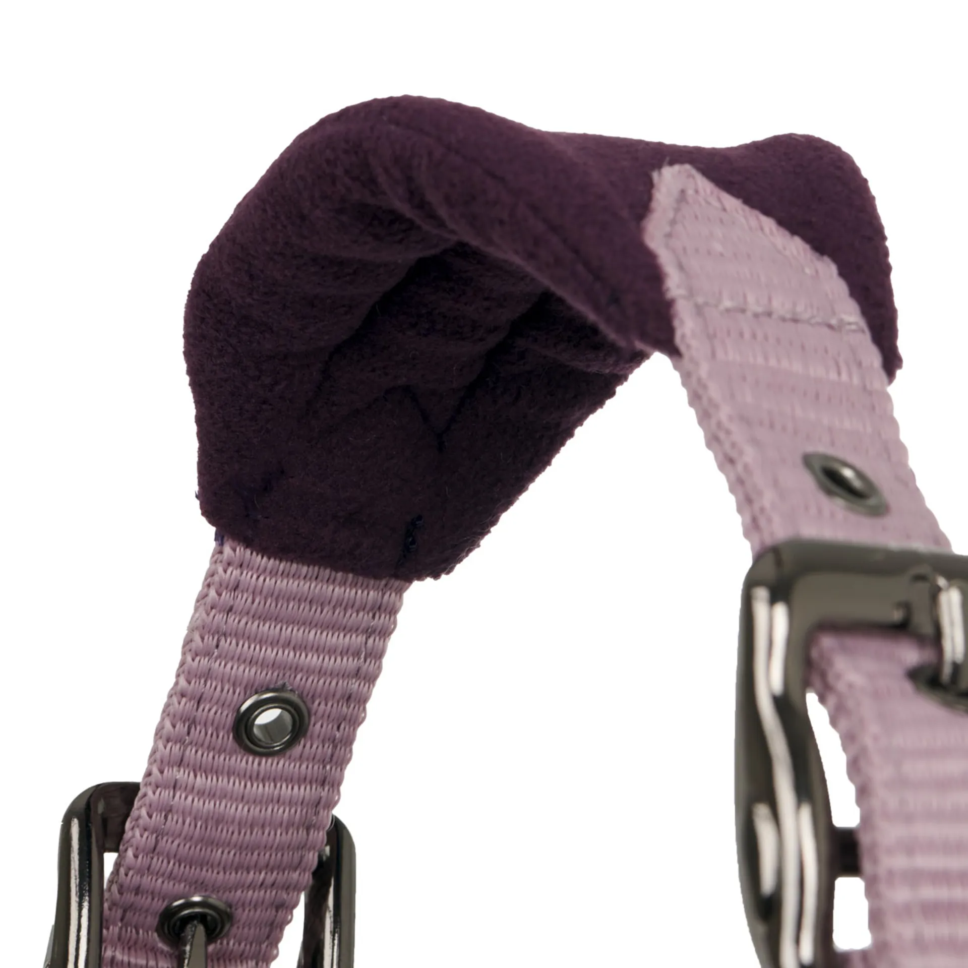 LeMieux Mini Vogue Headcollar and Lead Rope - Fig