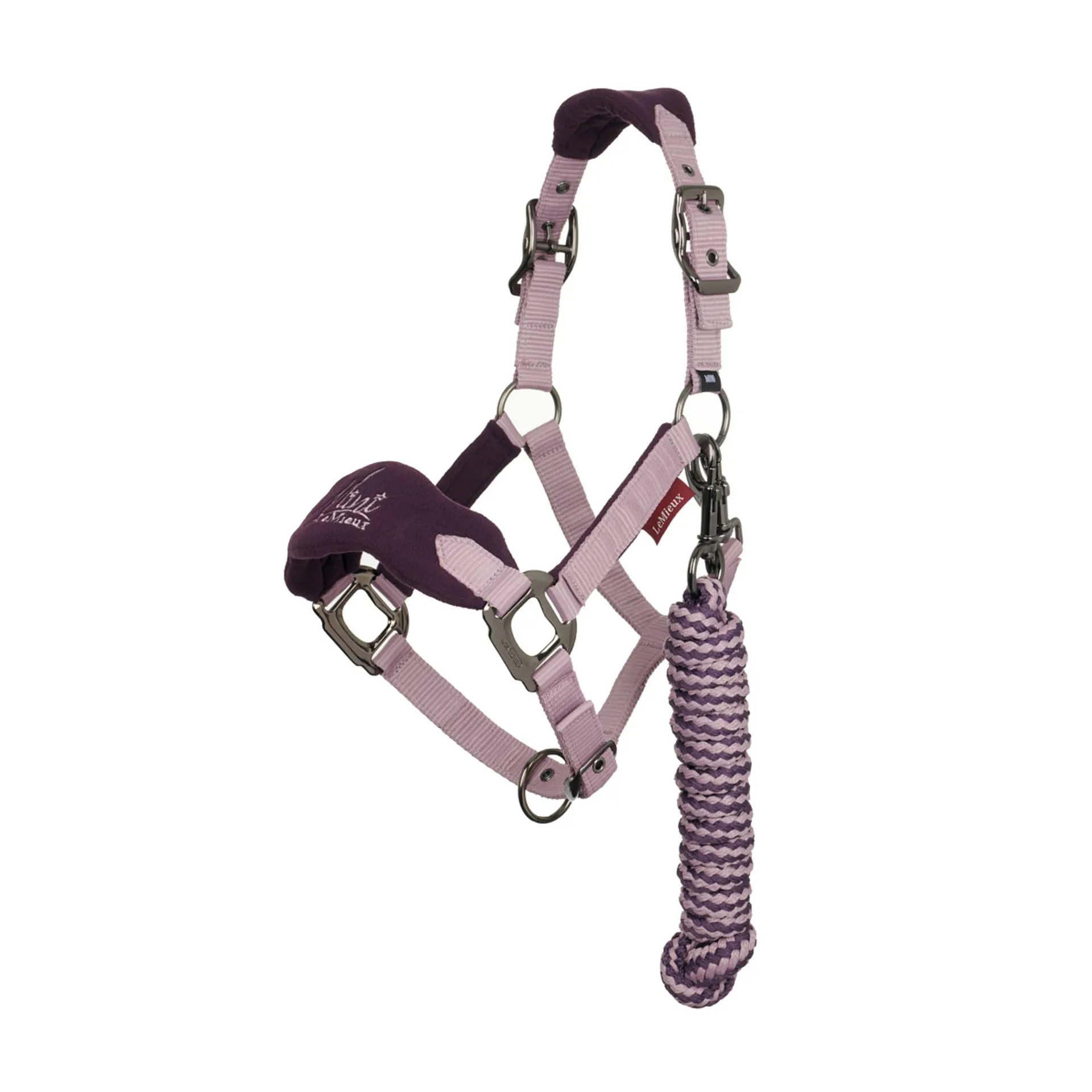 LeMieux Mini Vogue Headcollar and Lead Rope - Fig