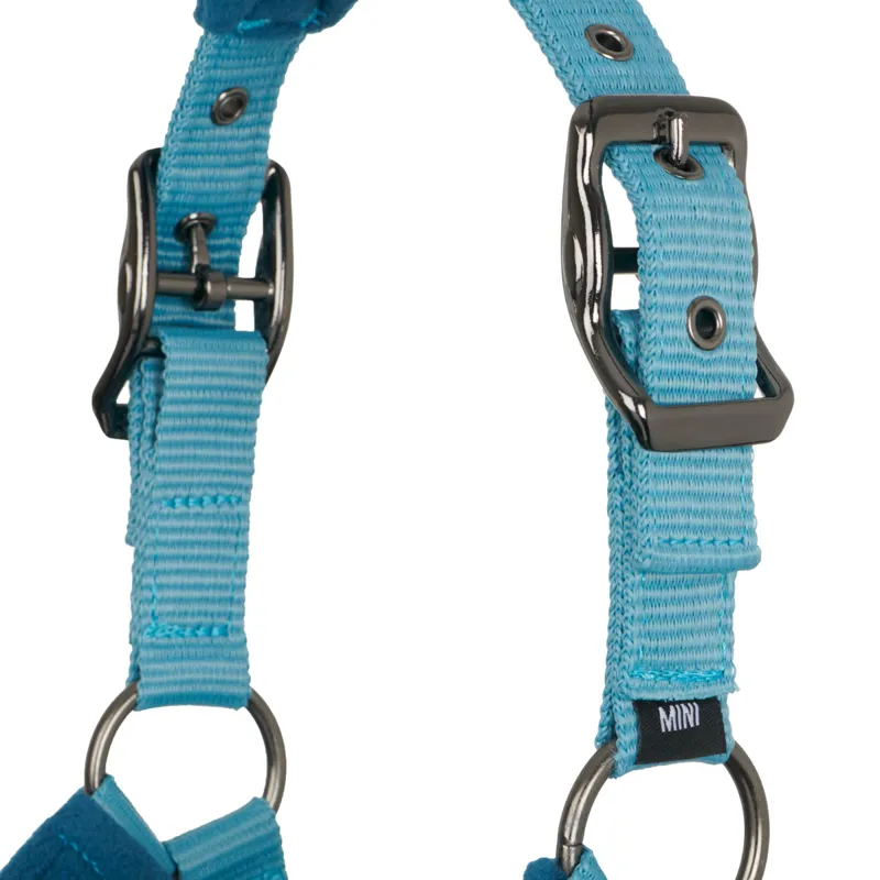 LeMieux Mini Vogue Headcollar and Lead Rope - Marine