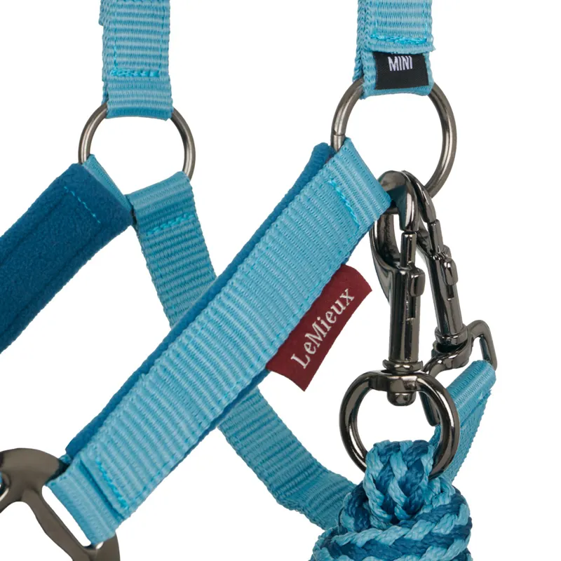 LeMieux Mini Vogue Headcollar and Lead Rope - Marine