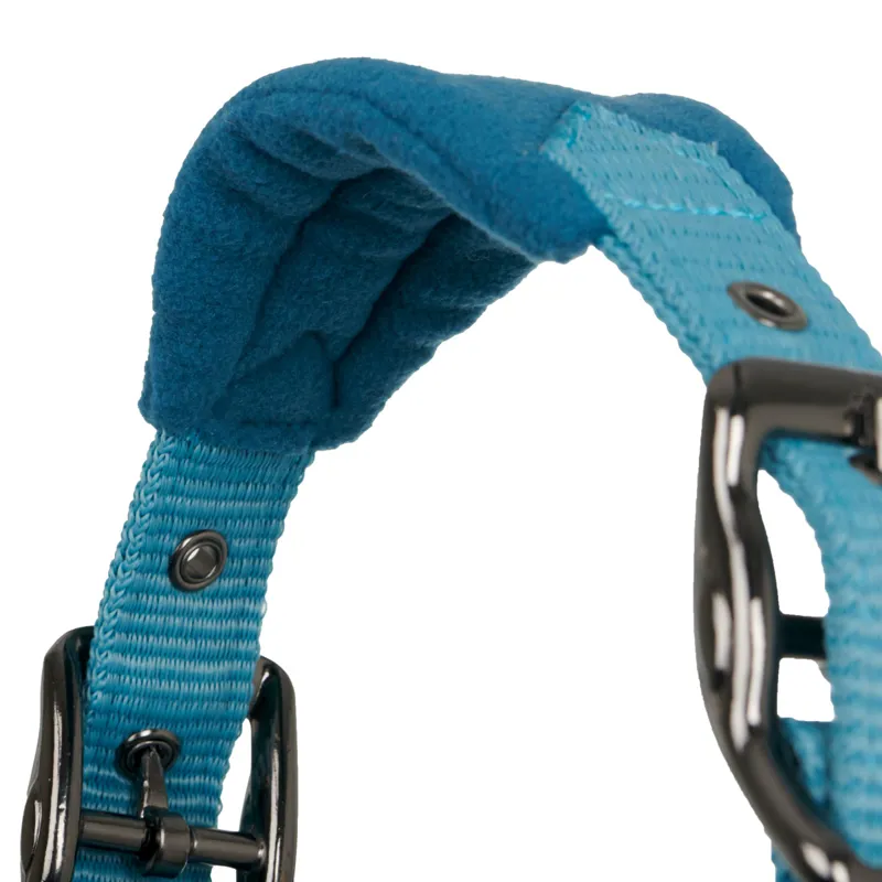 LeMieux Mini Vogue Headcollar and Lead Rope - Marine
