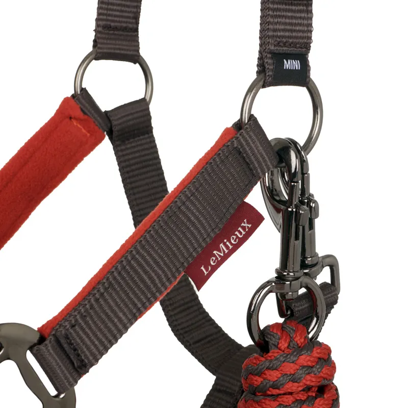LeMieux Mini Vogue Headcollar and Lead Rope - Sienna