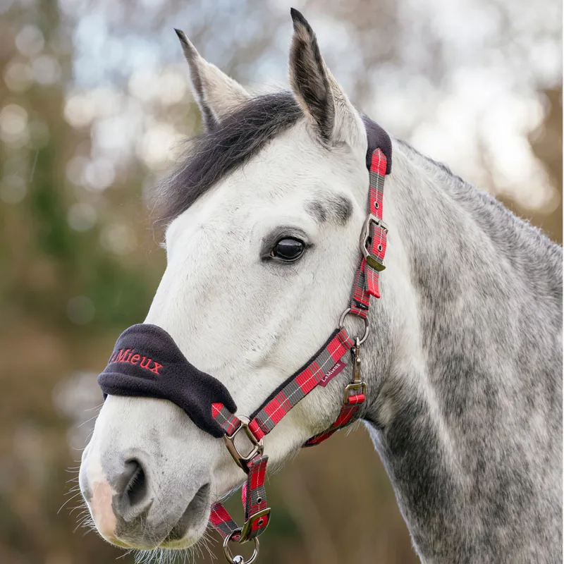 LeMieux Signature Headcollar and Leadrope Set - Red/Black