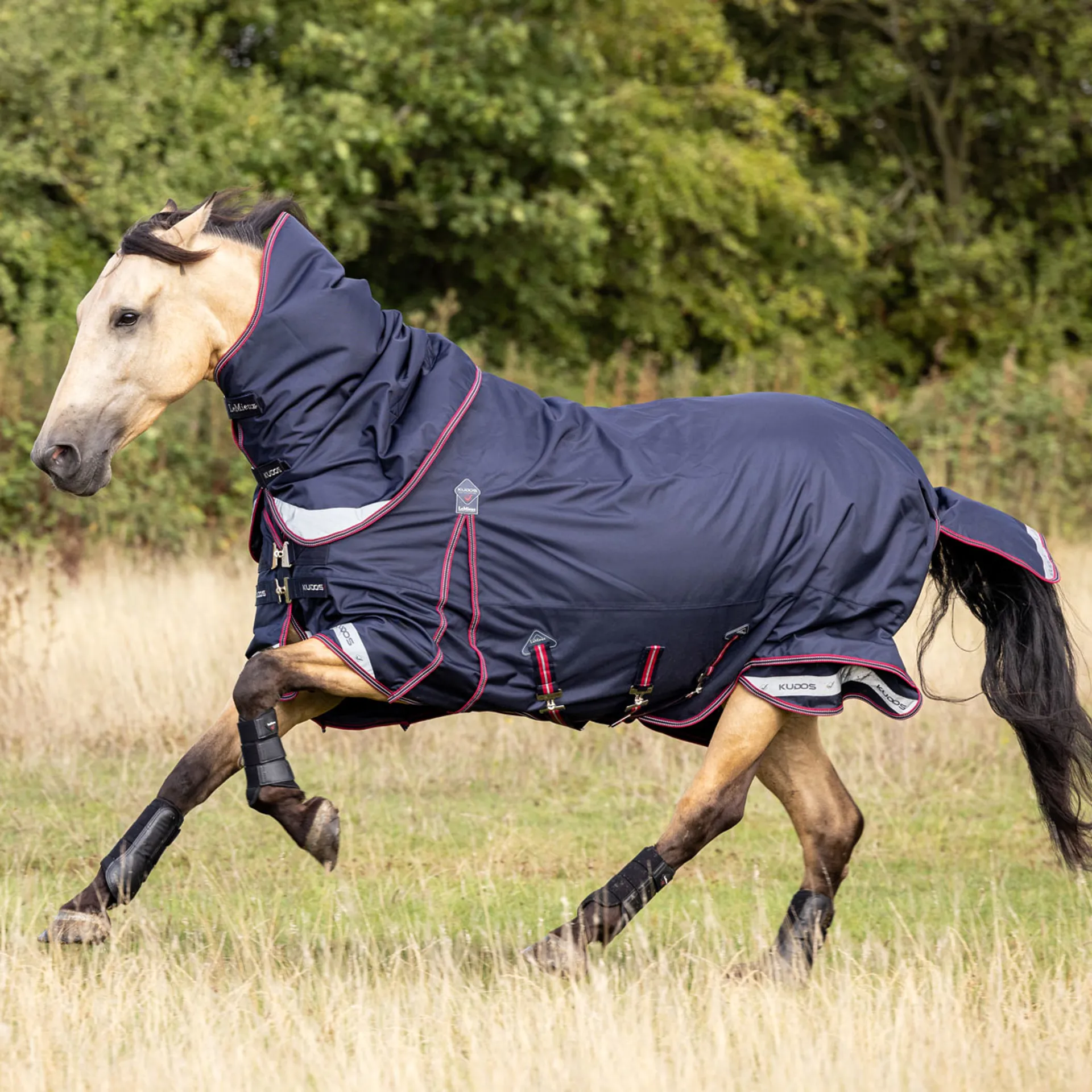 LeMieux Kudos 50g Detachable Neck Turnout Rug - Navy