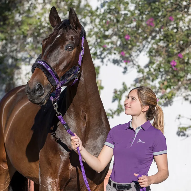 LeMieux Loire Headcollar - Blackcurrant