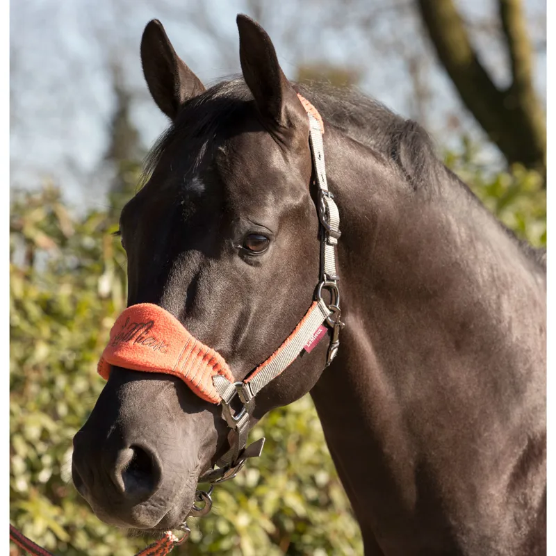 Sorbet/Khaki LeMieux Vogue Headcollar & Leadrope Equestrian Horse Wear