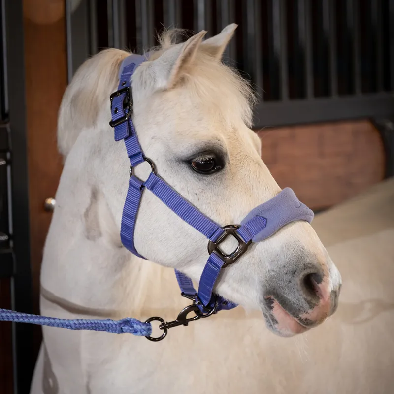 LeMieux Mini Vogue Headcollar and Lead Rope - Bluebell