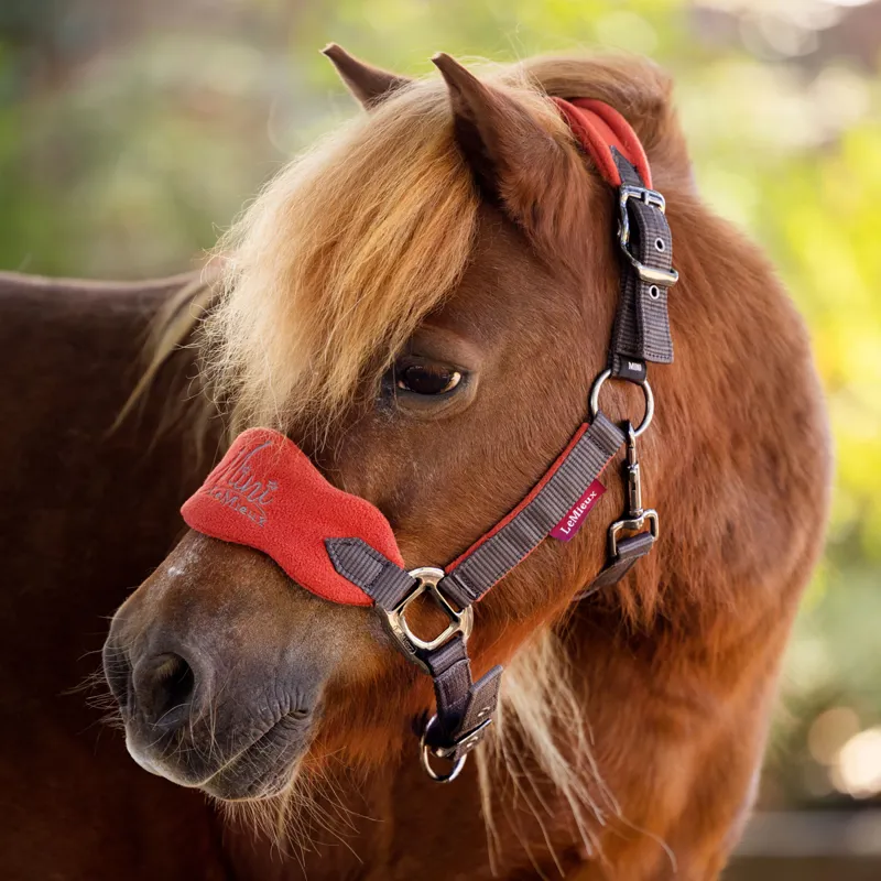 LeMieux Mini Vogue Headcollar and Lead Rope - Sienna