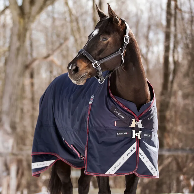 LeMieux Kudos 350g Detachable Neck Turnout Rug - Navy
