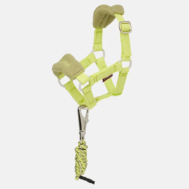 LeMieux Mini Toy Pony Vogue Headcollar - Kiwi