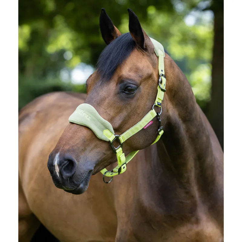 LeMieux Vogue Headcollar and Lead Rope Set - Kiwi