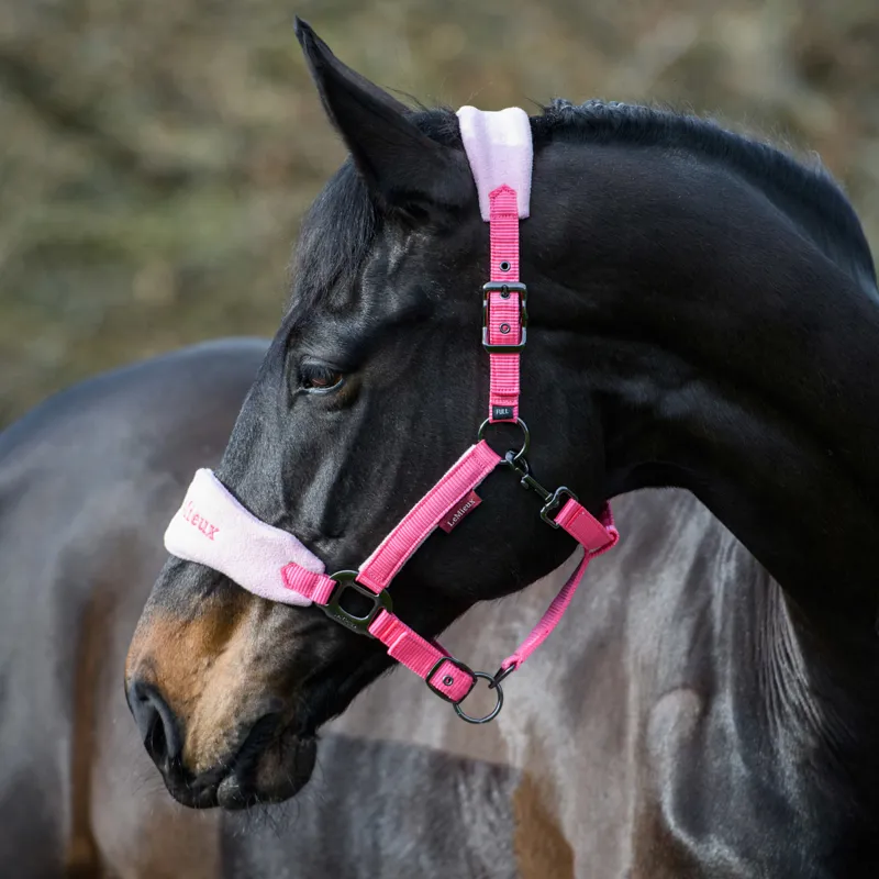 LeMieux Vogue Headcollar and Lead Rope Set - Watermelon