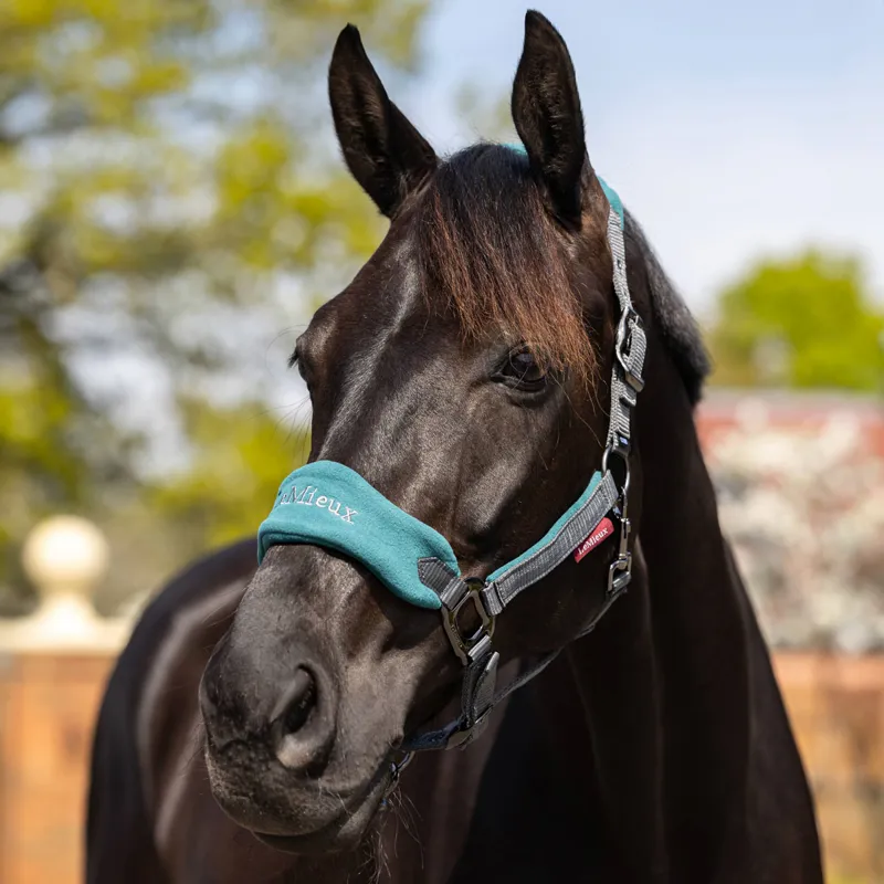 LeMieux Vogue Headcollar and Lead Rope Set - Peacock Green/Grey