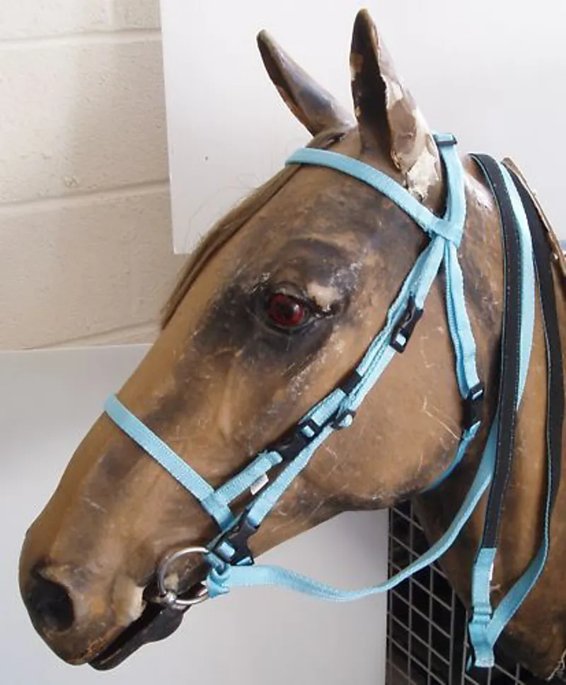 Libbys Click Bridle - Baby Blue - Cob