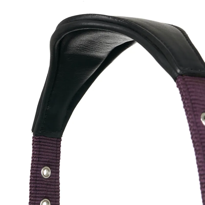 LeMieux Capella Leather Headcollar - Fig