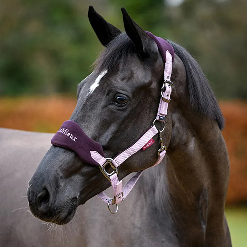 LeMieux Vogue Headcollar and Lead Rope Set - Fig