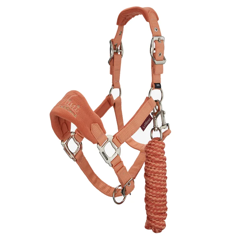 LeMieux Mini Vogue Headcollar and Lead Rope - Apricot