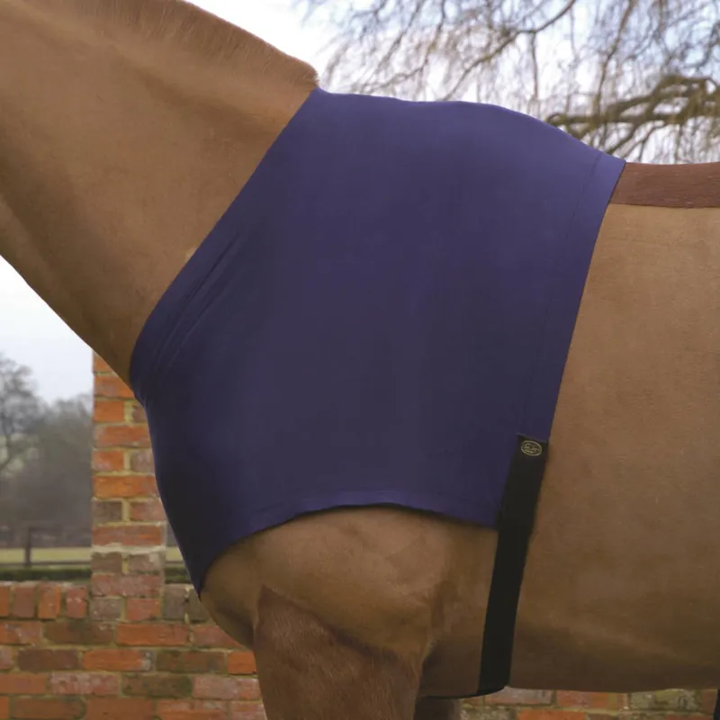 Mark Todd Shoulder Guard - Navy