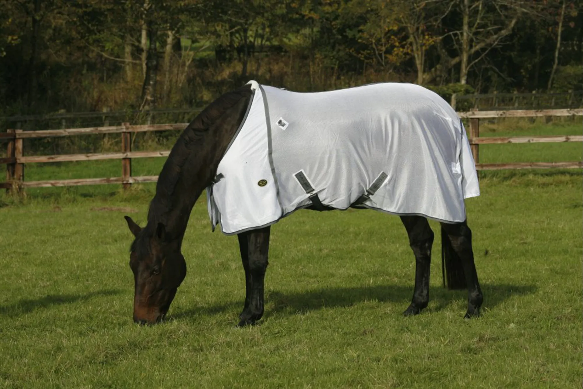 Mark Todd Standard Neck Fly Rug 1405 Style - White/Grey - 4ft6in