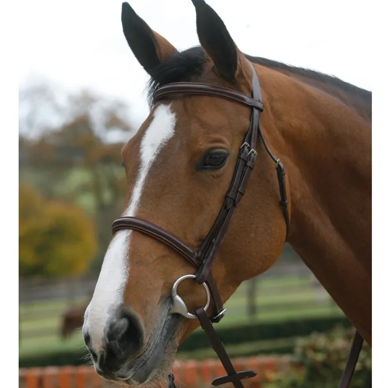Mark Todd Plain Raised Bridle with Cavesson Noseband and Reins - Black