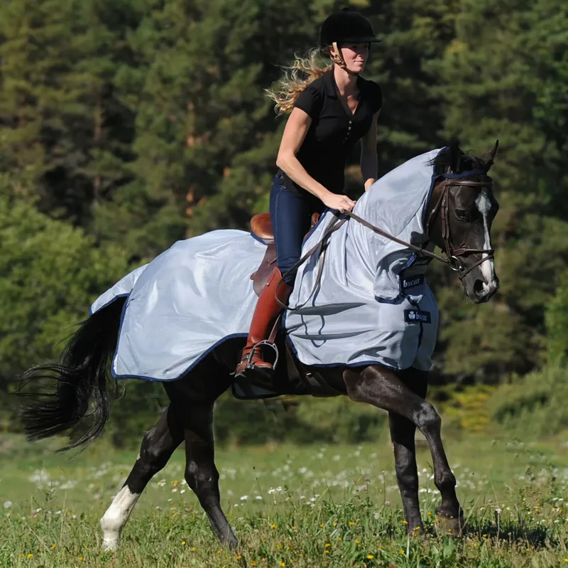 Fly Rugs | Shop Fly Rugs for Horses