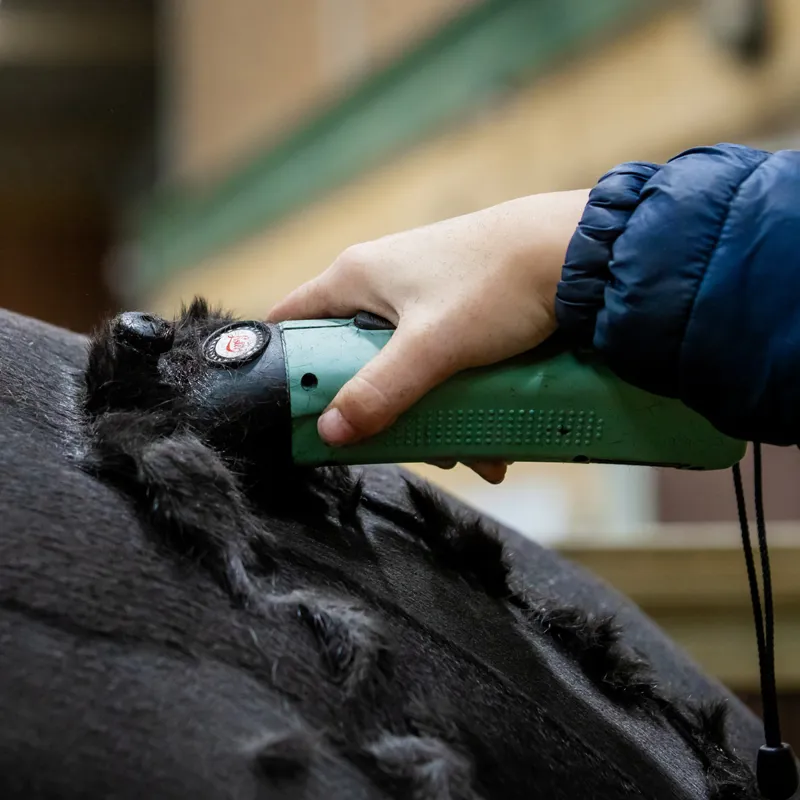 Horse Care | Redpost Equestrian