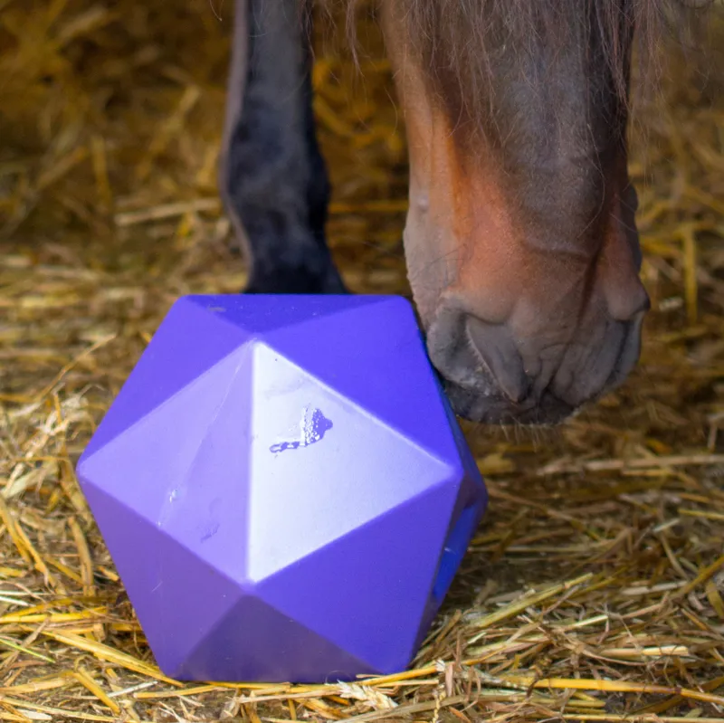 Horse Care | Redpost Equestrian