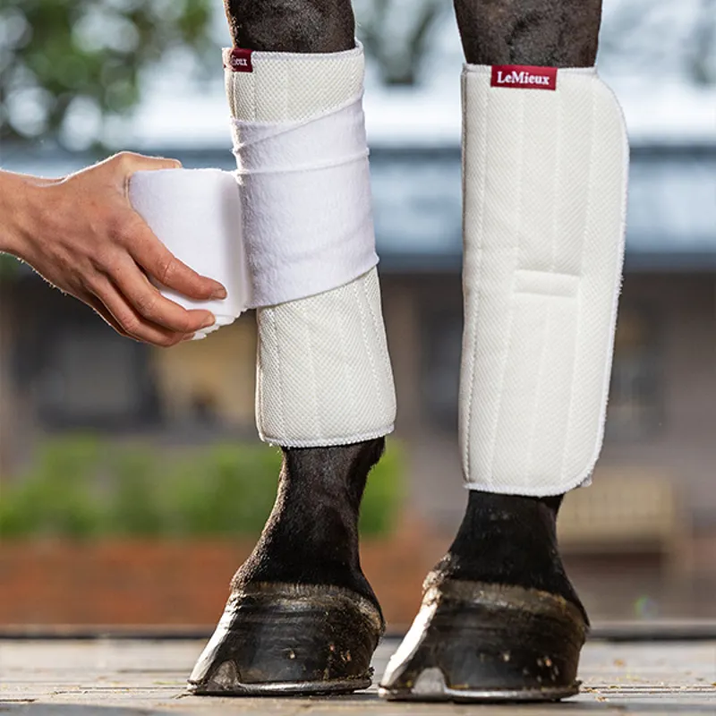 Shop LeMieux Products | Redpost Equestrian