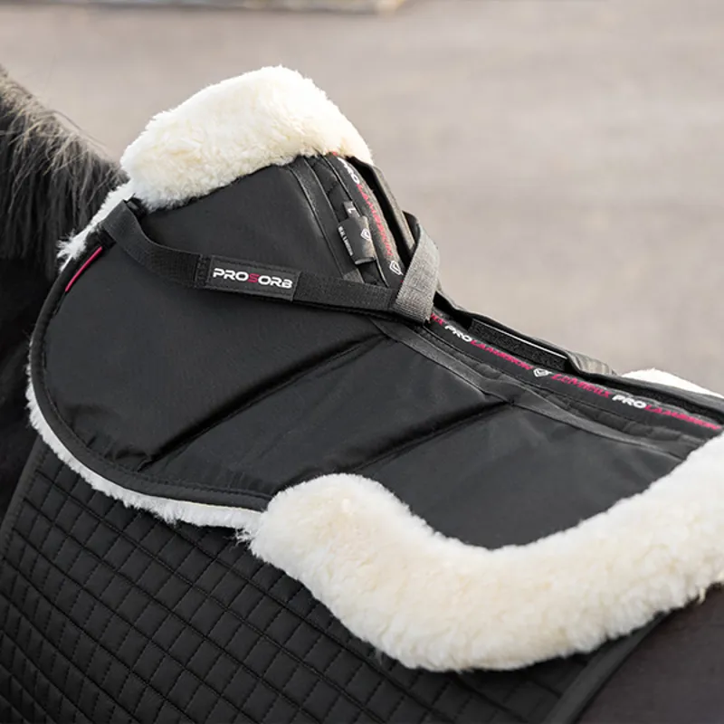 Shop LeMieux Products | Redpost Equestrian