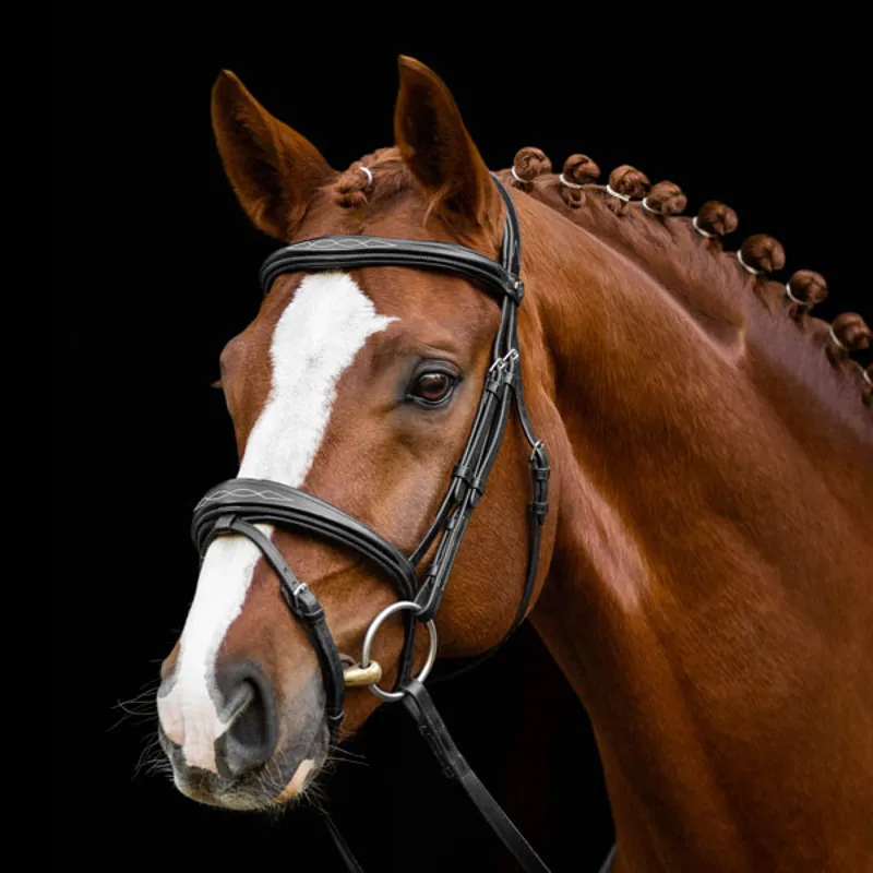 Shop LeMieux Products | Redpost Equestrian