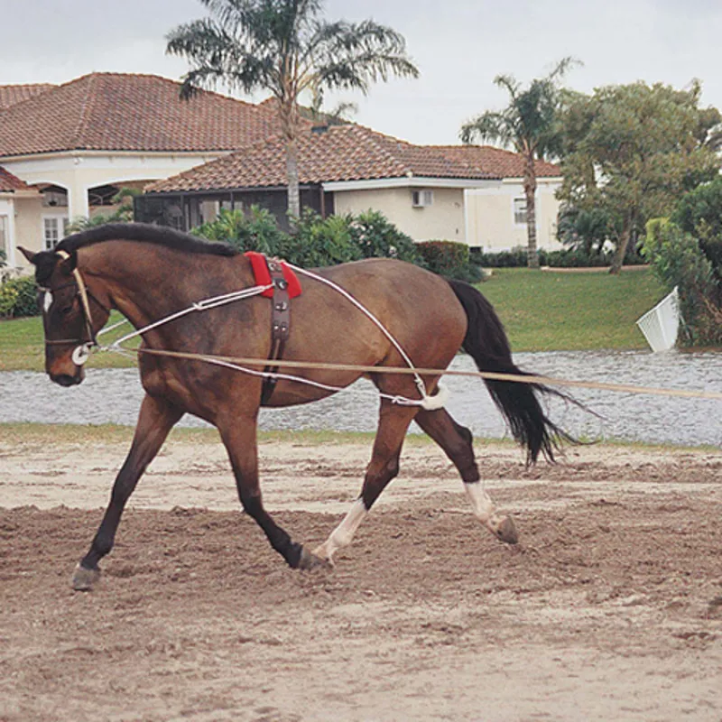 Pessoa Lunging System Training Aid