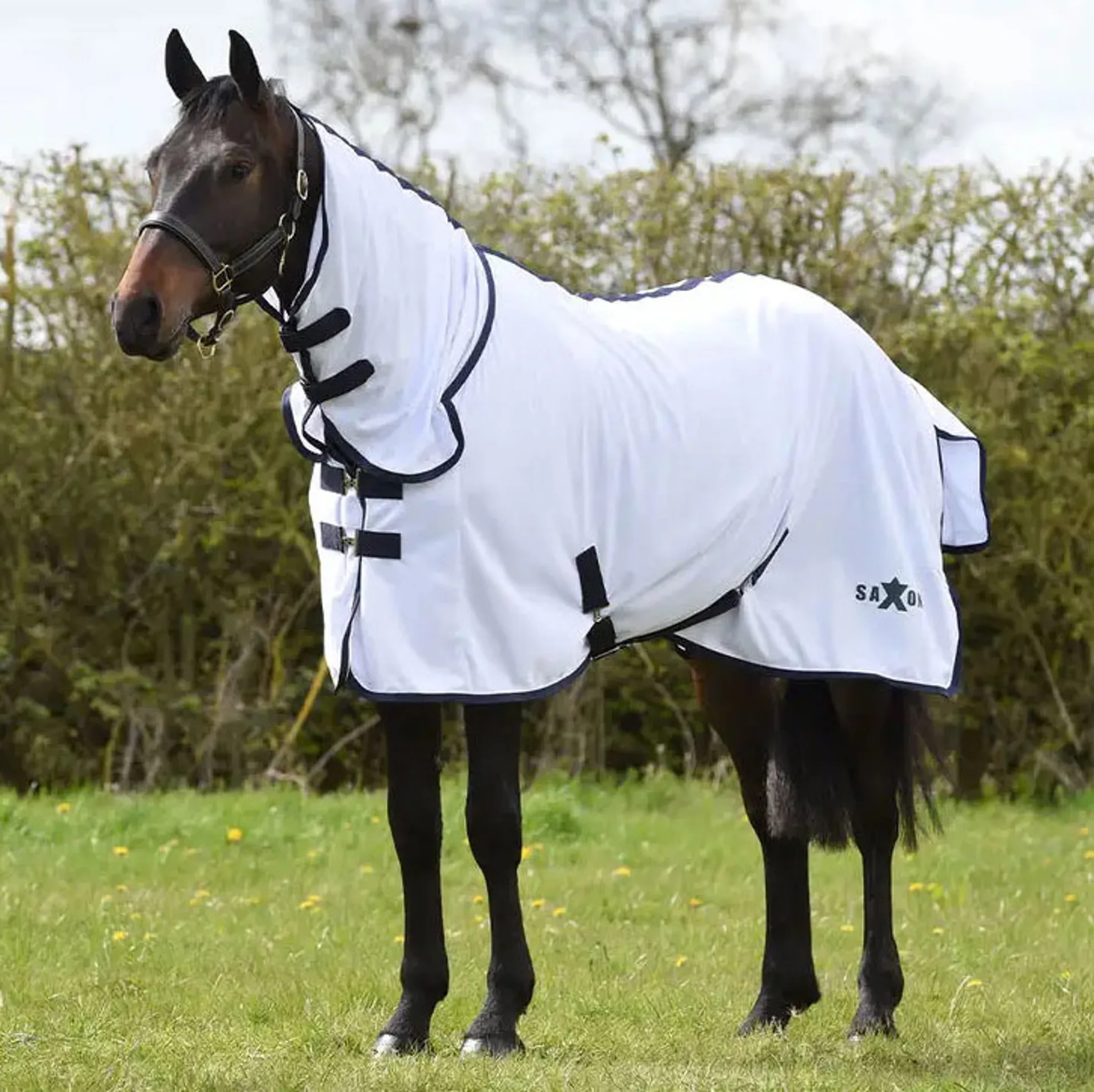 Saxon Mesh Combo Neck Fly Rug - White/Navy