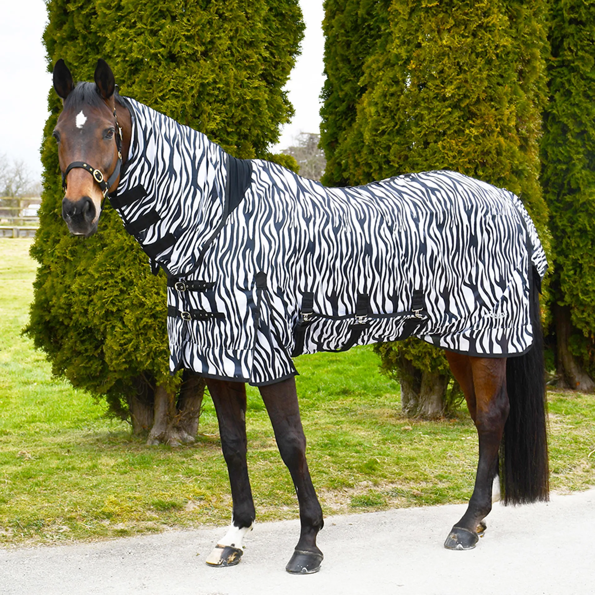 Rhinegold Africa Combo Fly Rug - Zebra