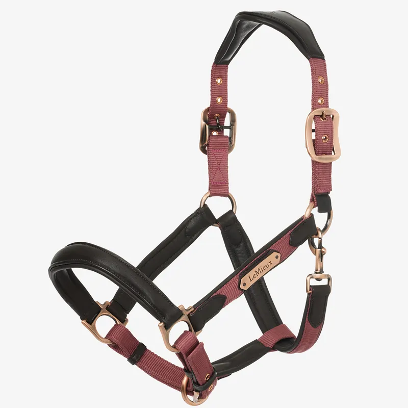 LeMieux Capella Leather Headcollar - Orchid