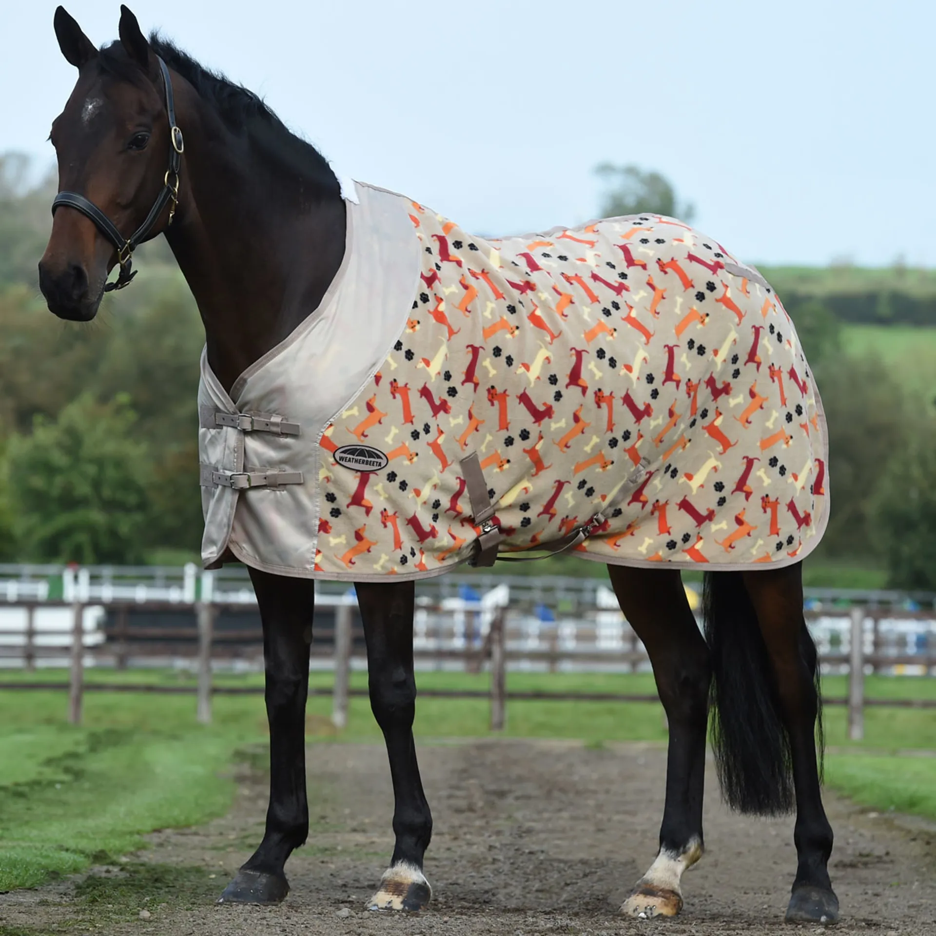 WeatherBeeta Fleece Cooler Standard Neck Rug - Dachshund