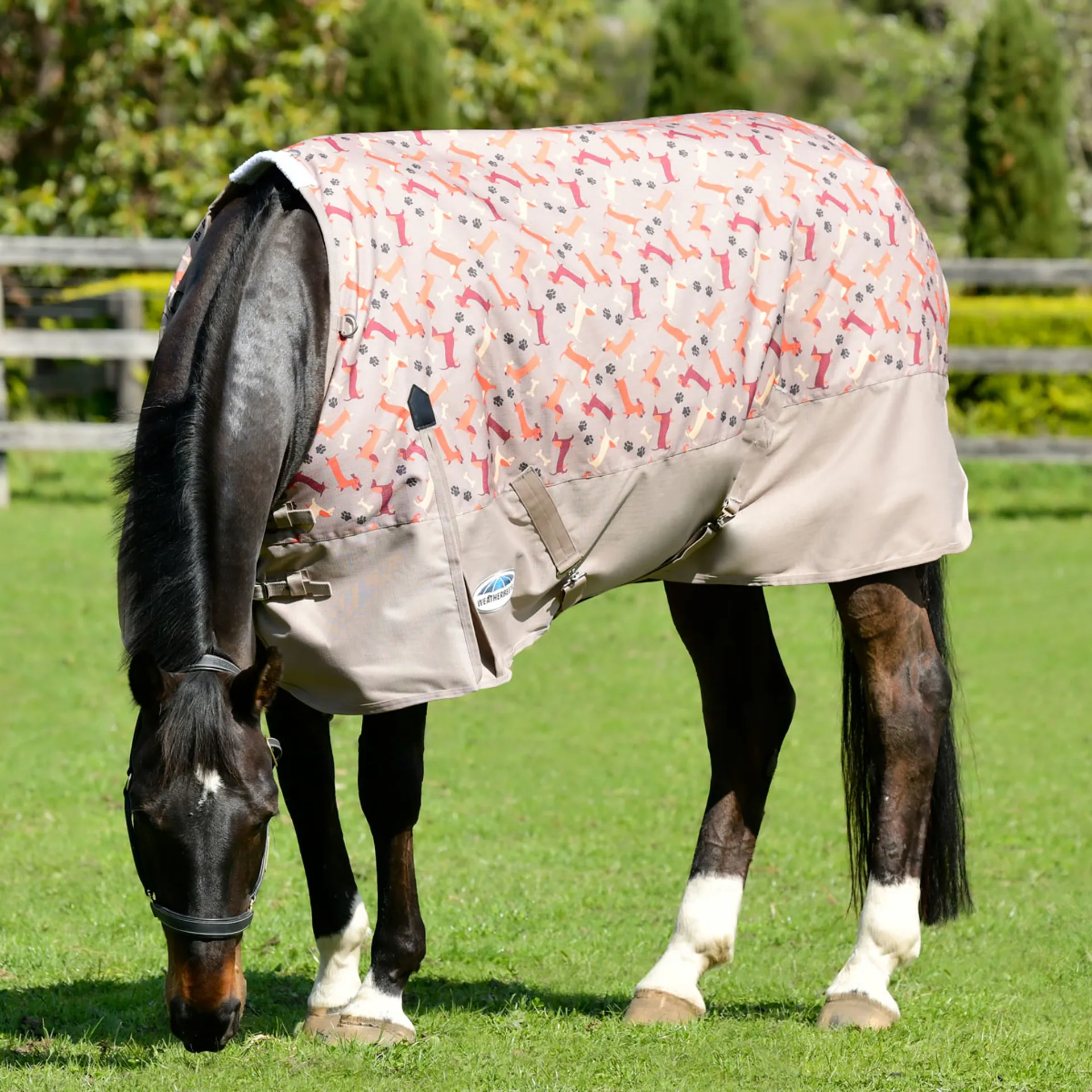 WeatherBeeta ComFiTec Essential 50g Turnout Rug - Dachshund