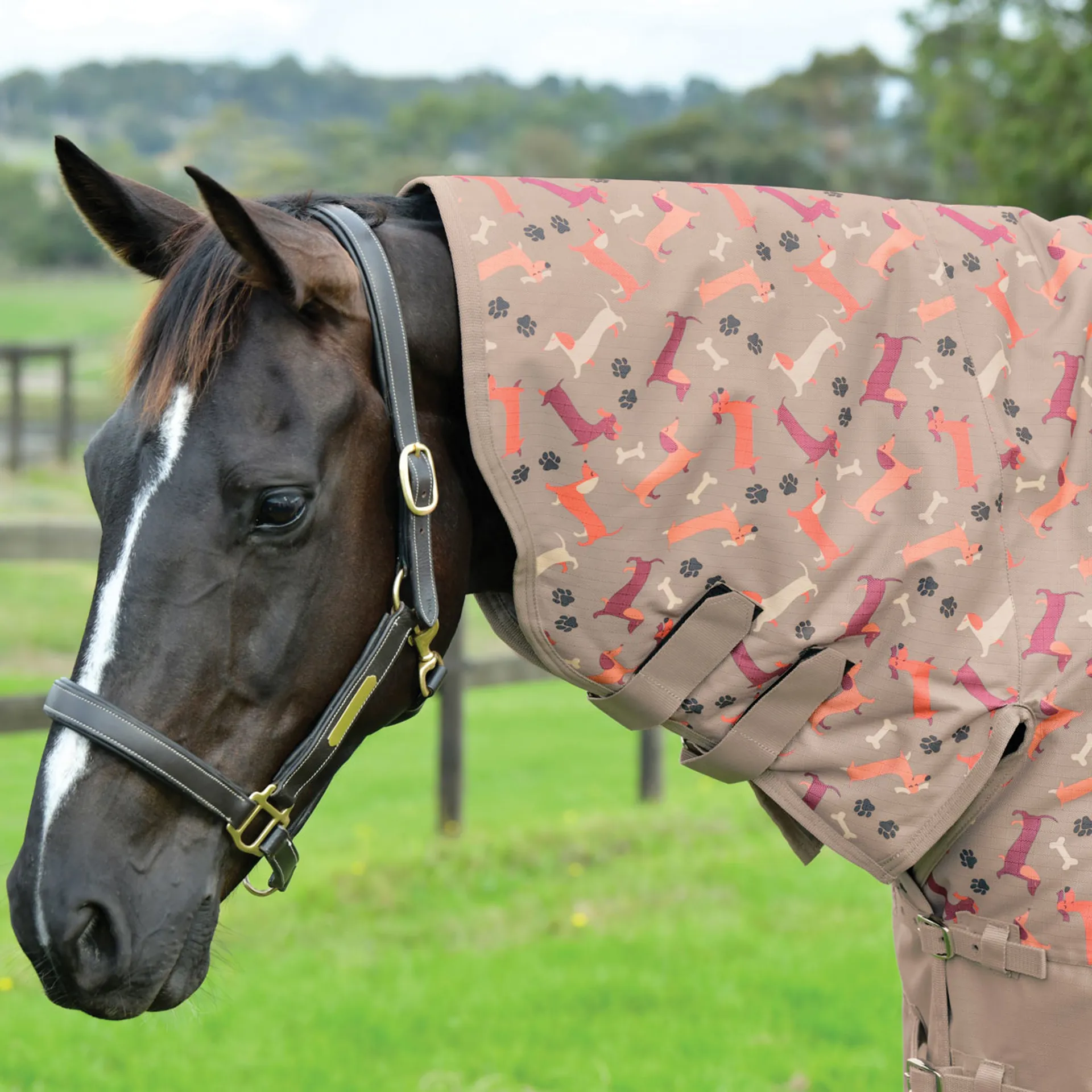 WeatherBeeta ComFiTec Essential 220g Turnout Rug - Dachshund
