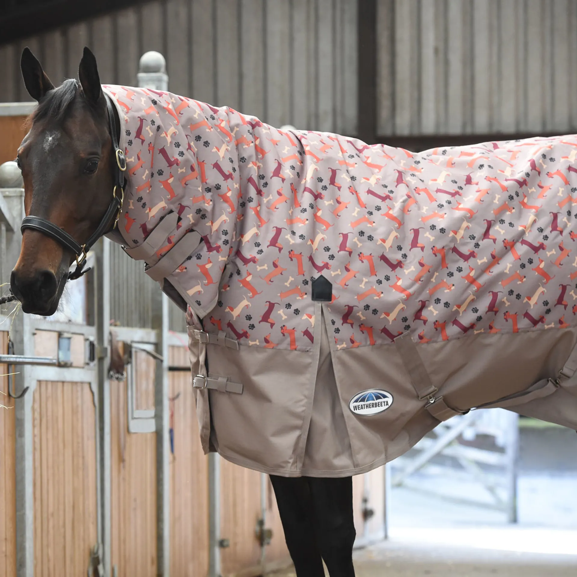 WeatherBeeta ComFiTec Essential 220g Turnout Rug - Dachshund