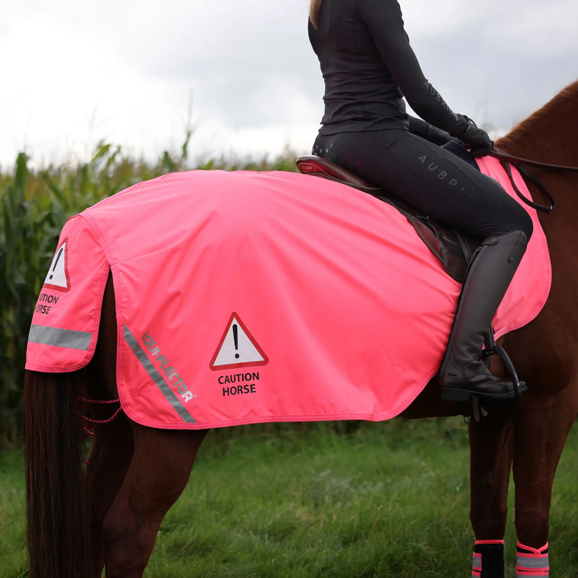 EQUI-FLECTOR Waterproof Exercise Sheet - Pink